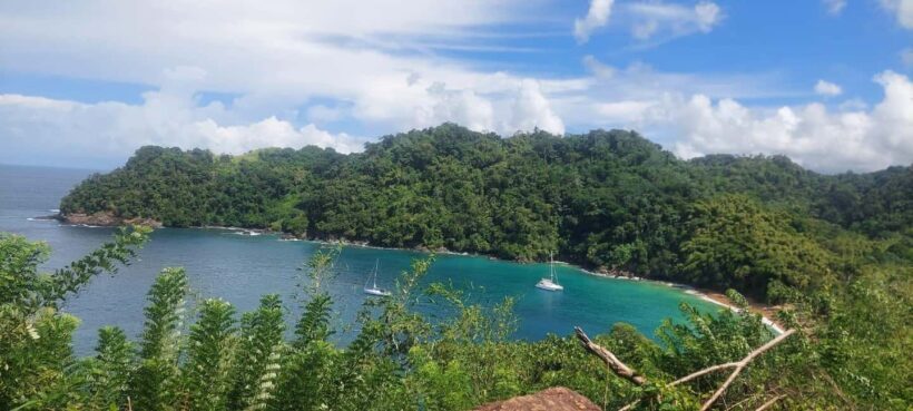 Tobago: Caribbean Coast Tour with Waterfall Swim - Into the Rainforest: Flora, Fauna, and a Waterfall