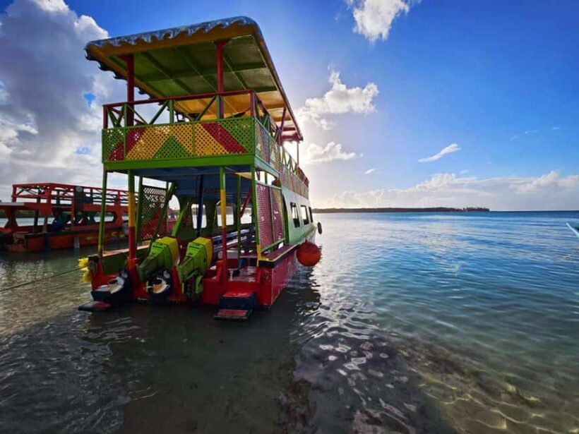 Tobago: Coral Reef Boat Tour with BBQ and Transfer - Key Points