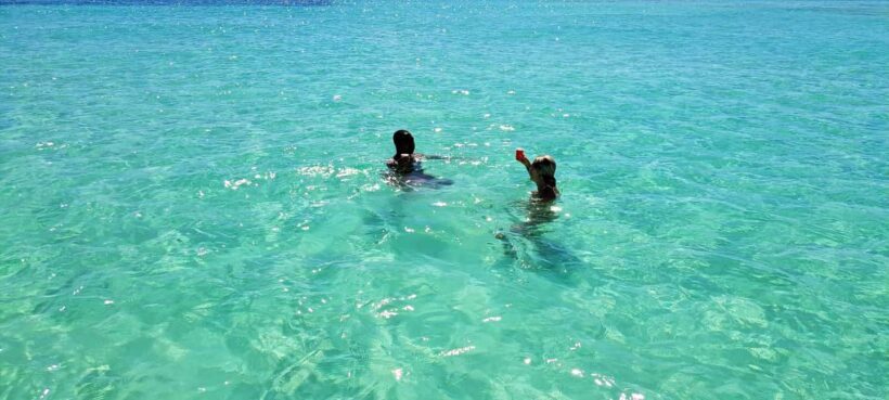 Tobago: Coral Reef Boat Tour with BBQ and Transfer - The Value Proposition