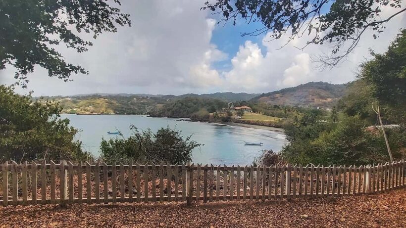 Tobago: Full Day Atlantic Coast Tour with Lunch - Key Points