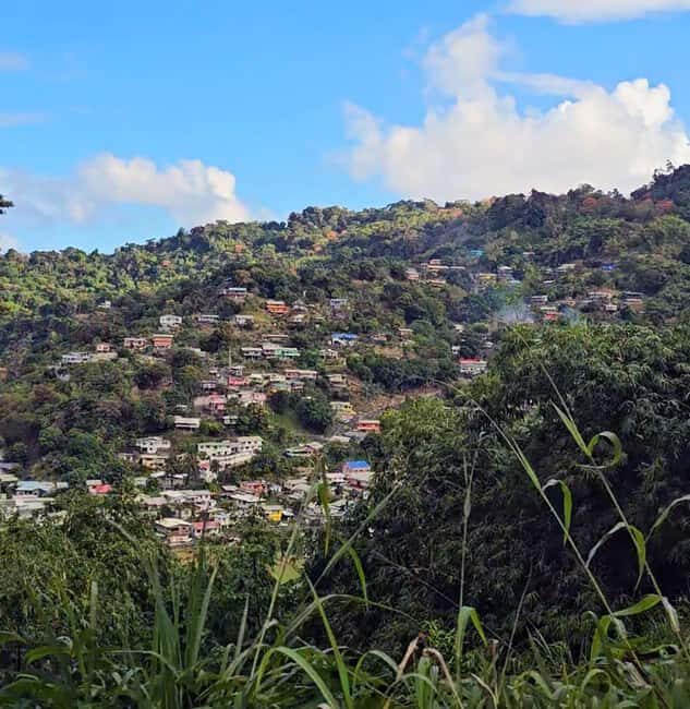 Tobago: Full Day Atlantic Coast Tour with Lunch - Who Should Consider This Tour?