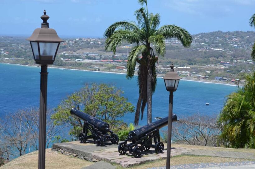 Tobago: Half-Day Highlights Tour - Highlights and Real Traveler Insights