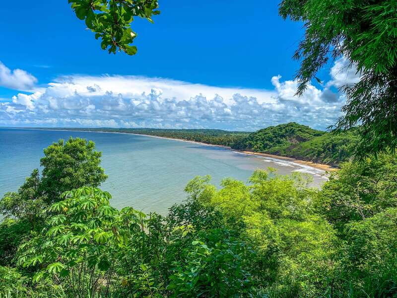 Tobago: Island Circle - The Complete Experience