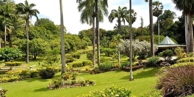 Tobago: Island Circle - The Sum Up