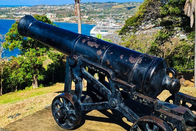 Tobago Island Tour - Final Thoughts: Is It Worth It?