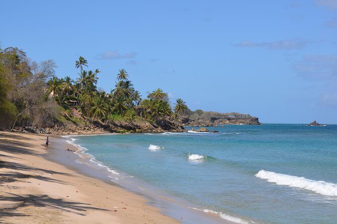 Tobago Island Tour - Tobago Island Tour Review: An Authentic 8-Hour Exploration