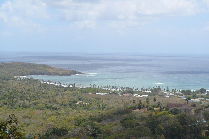 Tobago Island Tour - The Sum Up: Who Will Love This Tour?