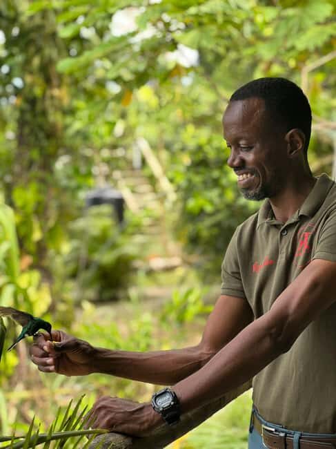 Tobago: Island Tour with Rainforest Drive and Scenic Lookout - Key Points