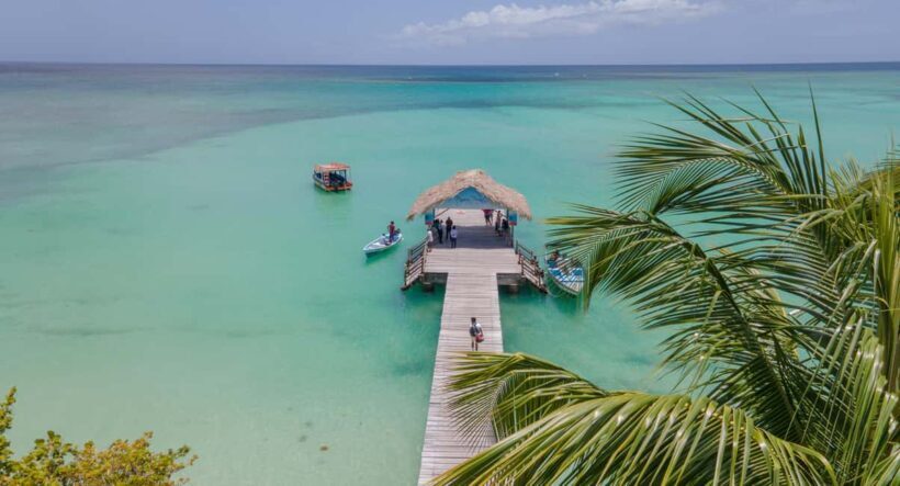 Tobago: Island Tour with Rainforest Drive and Scenic Lookout - The Sum Up: Who Will Love This Tour?