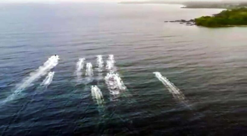 Tobago: Jet Ski Safari to Castara Bay with Local Guide - Key Points