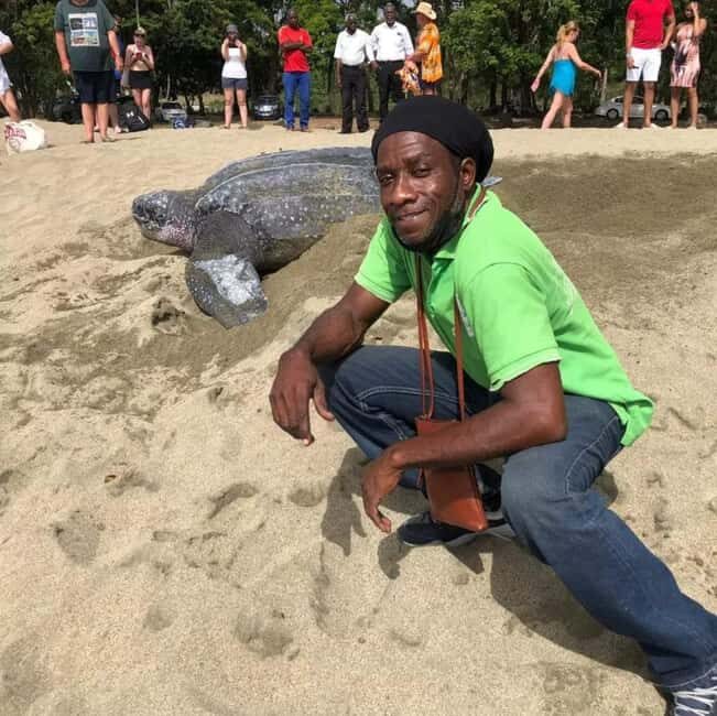 Tobago: Leatherback Turtle Nesting Tour with Pickup - The Setting and Conservation Significance