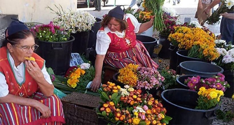 Toboggan Ride & Madeira Wine Tasting Tour - A Practical Guide to the Madeira Toboggan & Wine Tour