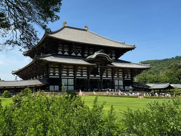 Todai-ji Temple Guided Tour - Key Points