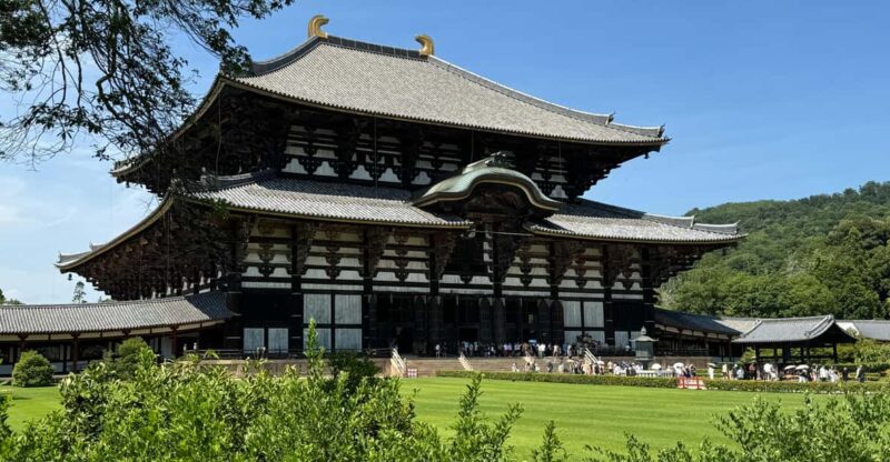 Todai-ji Temple Guided Tour - Highlights and Itinerary