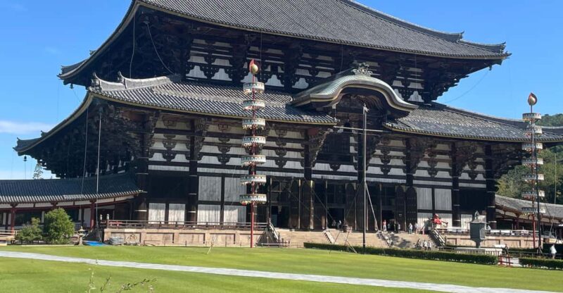 Todaiji Temple, Kasuga Shrine and Nara Park Guided Tour - Key Points