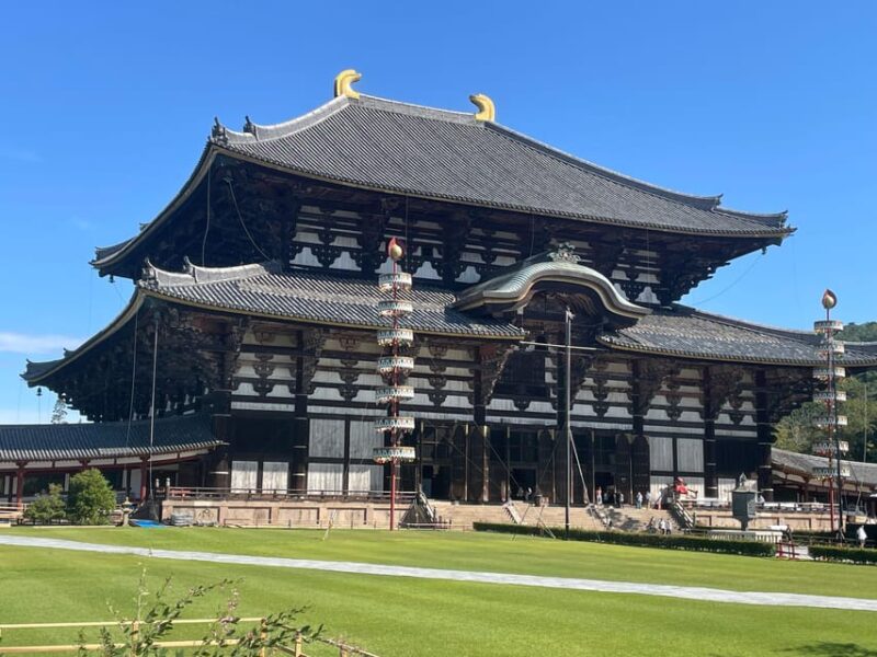 Todaiji Temple, Kasuga Shrine and Nara Park Guided Tour - Guided Experience