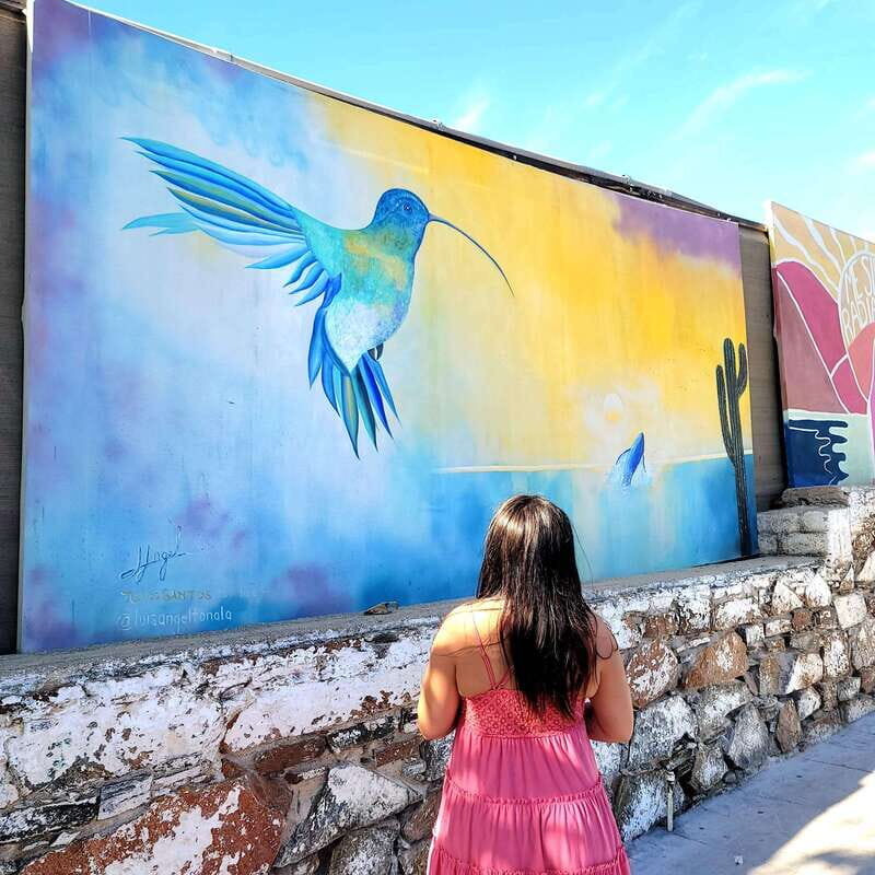Todos Santos: Art & Culture Experience by Mexican Artist - Practical Tips for Participants