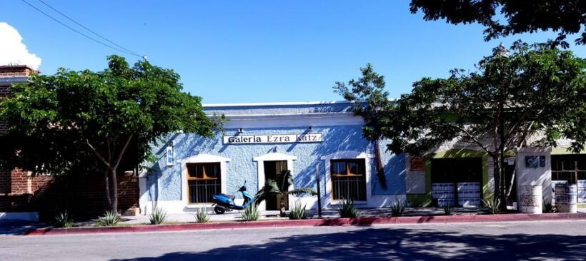 Todos Santos: Art & Culture Experience by Mexican Artist - Who Should Consider This Tour?