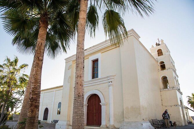 Todos Santos Day Trip from Cabo San Lucas - What Travelers Say