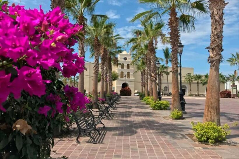 Todos Santos Encounter Tour - Practical Details and Value