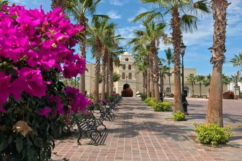 Todos Santos Encounter Tour - Who Is This Tour Best For?