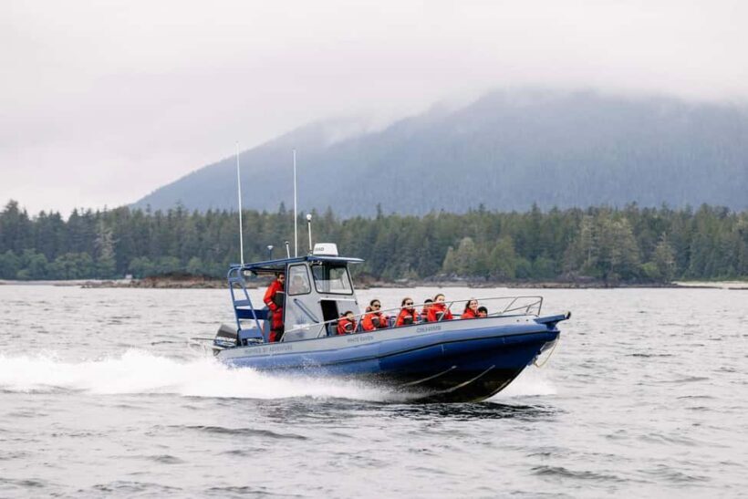 Tofino: Whale Watching Tour with Nature Guide - Key Points