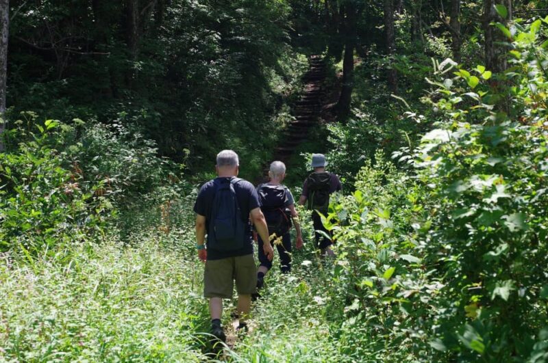 Togakushi Shrine Hiking Trails Tour With Soba in Nagano - Important Information
