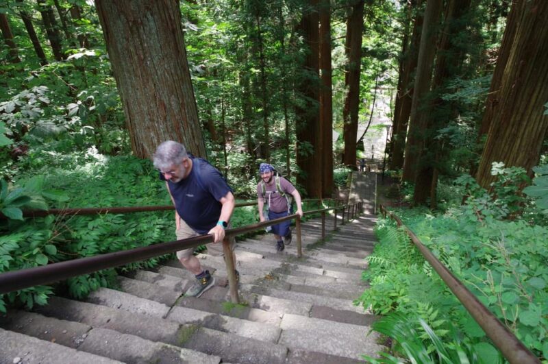 Togakushi Shrine Hiking Trails Tour With Soba in Nagano - Meeting Point and What to Bring
