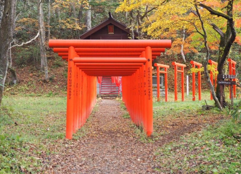 Togakushi Shrine Hiking Trails Tour With Soba in Nagano - Explore the Shrine and Soba Delights