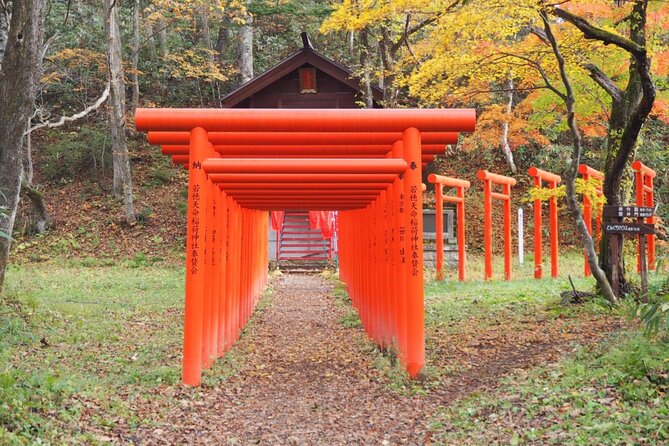 Togakushi Shrine Hiking Trails Tour With Soba in Nagano - Participant Information