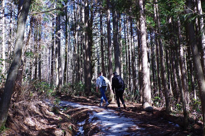 Togakushi Shrine Hiking Trails Tour With Soba in Nagano - Booking and Cancellation Policy