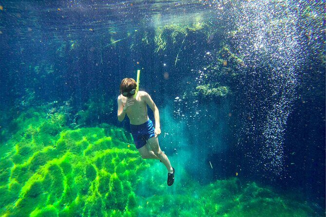 Toh Tours Adventures Cenotes Chemuyil - The Sum Up: Who Will Love This Tour?