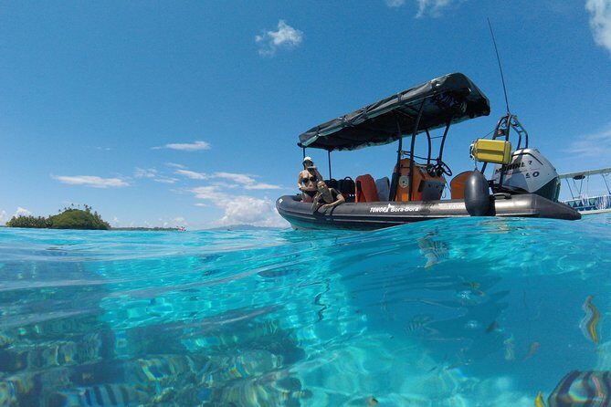 Tohora Bora Bora Snorkeling Lagoon Tours - Who Would Love This Tour?
