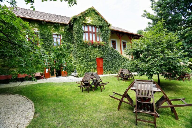 Tokaj: Classic Wine Tasting - The Real Deal: Authentic and Educational