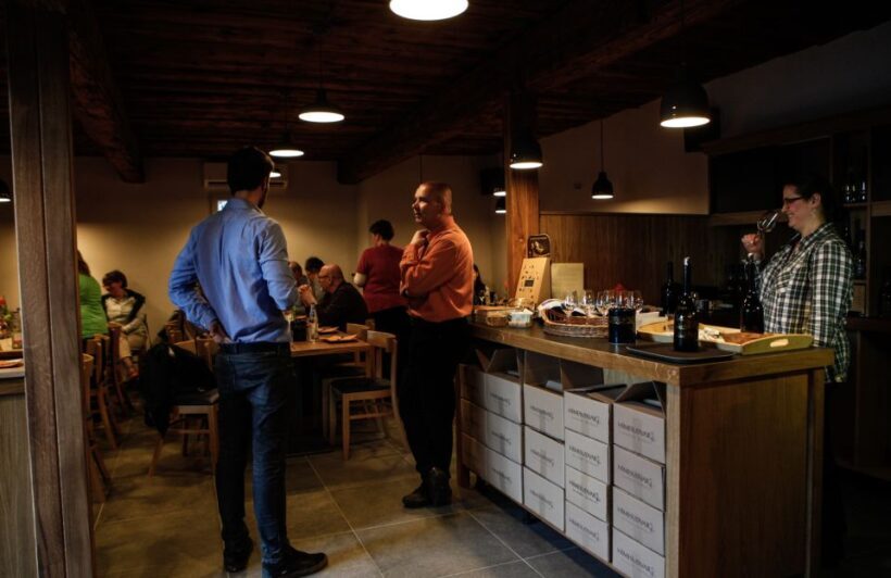 Tokaj: Classic Wine Tasting - Who Will Love This Tour
