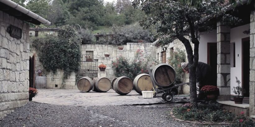 Tokaj Private Day Tour from Budapest - Summing Up: Why This Tour Is a Great Pick