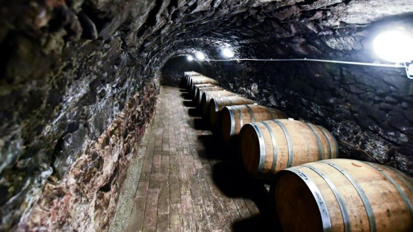 Tokaj: Vineyard Tour & Tasting - Who Will Love This Tour?
