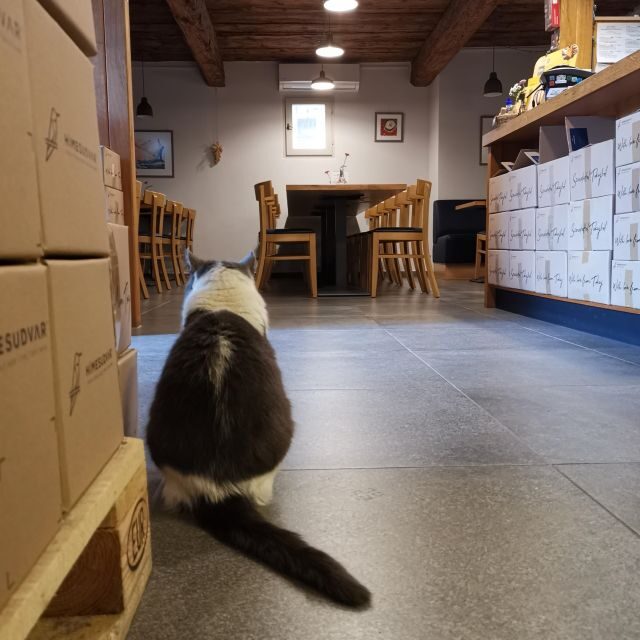Tokaj: Vineyard Tour & Tasting - Practical Tips for Your Visit