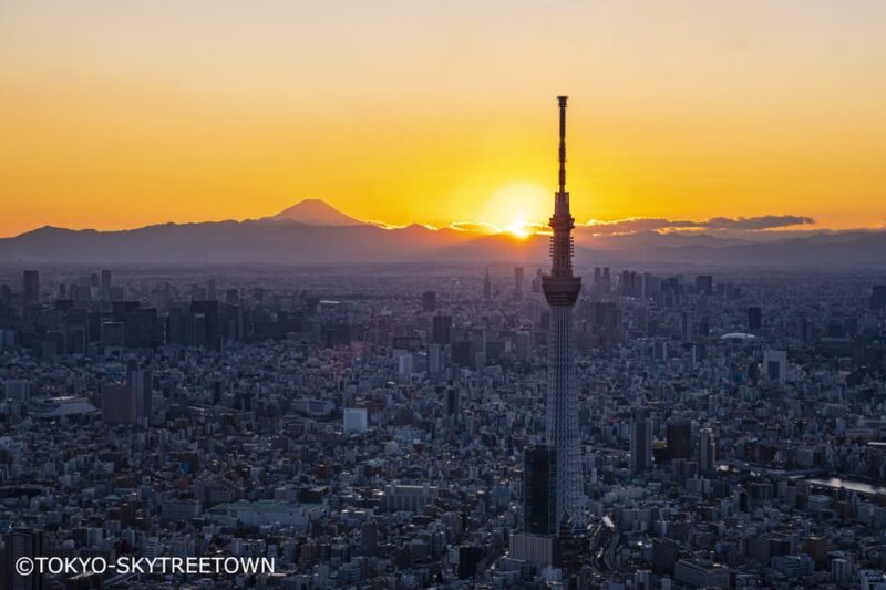 Tokyo: 1 Day Bus Tour With Meiji-Jingu,Odaiba,Lunch&Skytree - Key Points