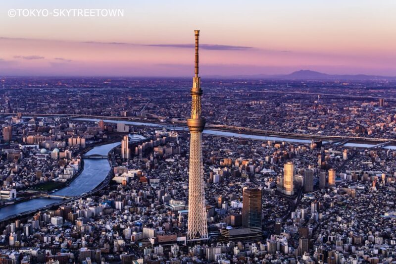 Tokyo: 1 Day Bus Tour With Meiji-Jingu,Odaiba,Lunch&Skytree - Itinerary Highlights