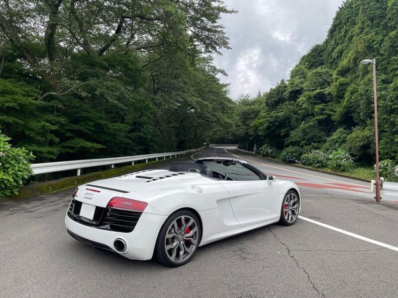 Tokyo: 1 Day JDM/Sports Car Tour to Hakone, Fuji, and Onsen - Experience and Activities