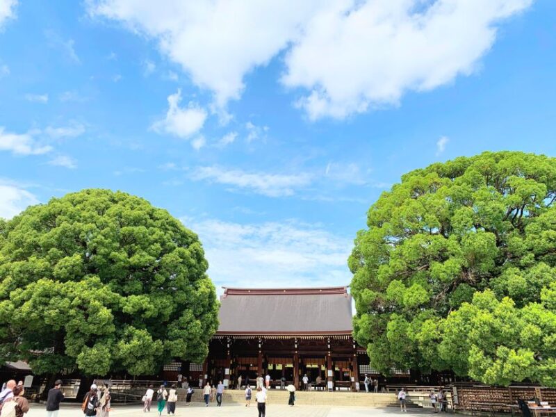 Tokyo: 1-Day Tokyo Private Tailor-made Tour - Frequently Asked Questions