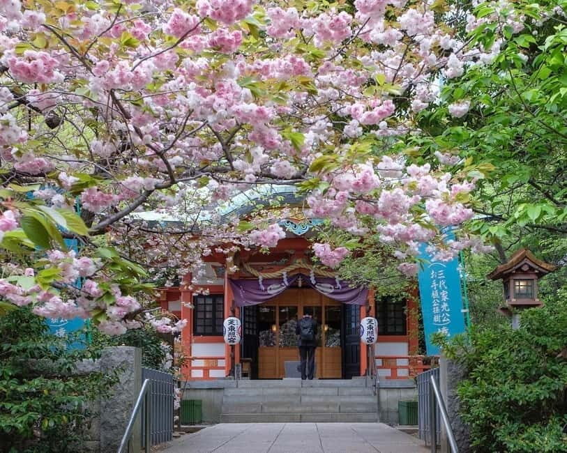 Tokyo: 1-hour Tokyo Tower Scenic Rickshaw Adventure - What to Expect from the Rickshaw Adventure