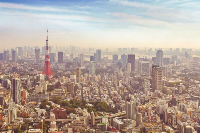 Tokyo: 10-Hour Customizable Private Tour With Hotel Transfer - Inclusions and Fees