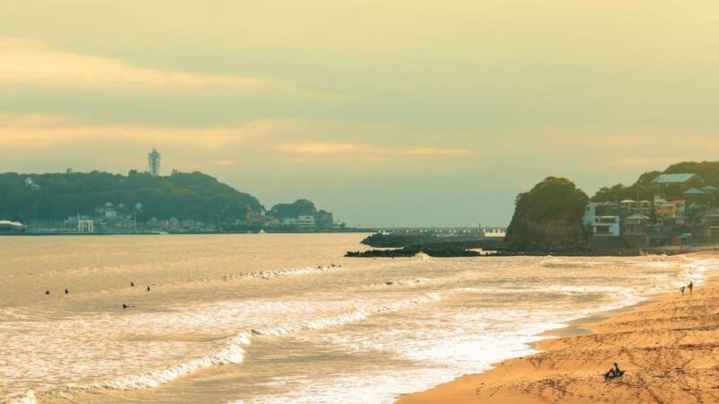 Tokyo: 2-Day Mt. Fuji, Kamakura and Izu Hot Springs Tour - Booking and Flexibility