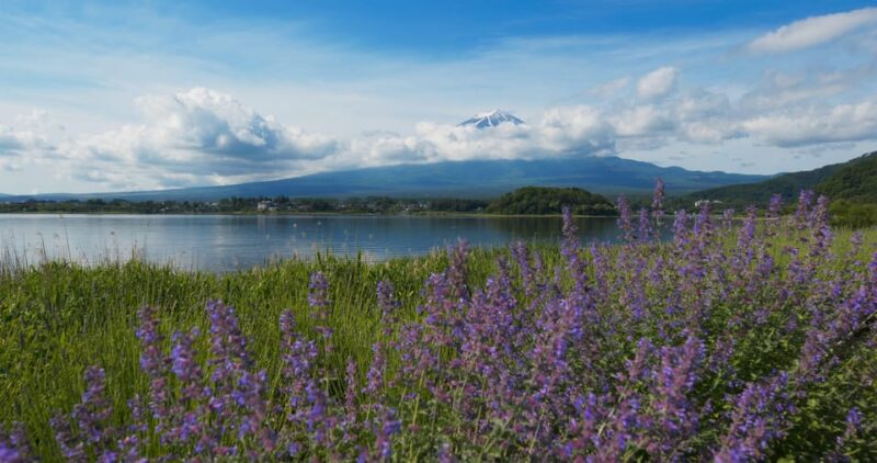 Tokyo: 2-Day Private Tour Tokyo City & Mt. Fuji or Hakone. - Preparation and Guidelines