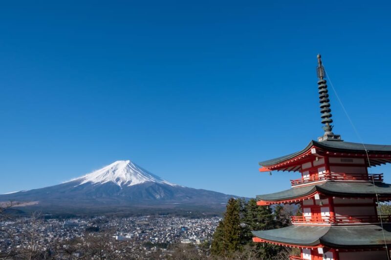 Tokyo: 2-Day Private Tour Tokyo City & Mt. Fuji or Hakone. - About the Provider