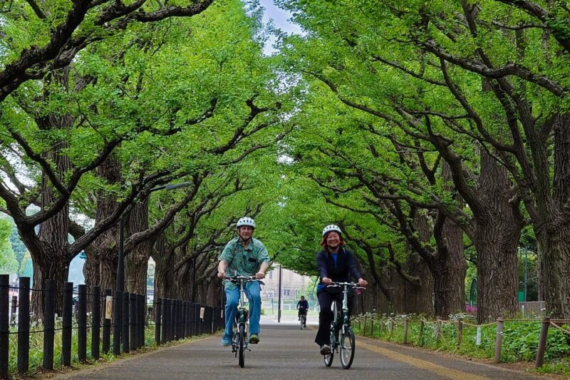 Tokyo: 3h Private E-bike Cycling Tour Starting at Your Hotel - Key Points