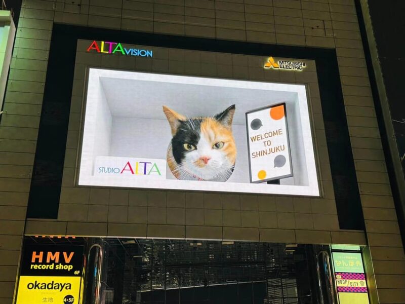 Tokyo: 4 Hours Shibuya - Shinjuku Night Tour - Key Points
