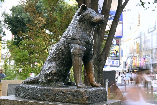 Tokyo 7-Hour Free Choice Tour - Common Questions